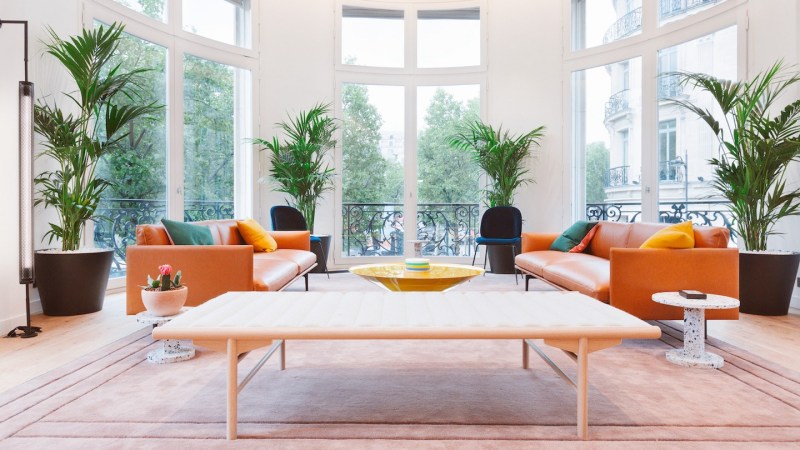 Biophilic: five benefits of office plants